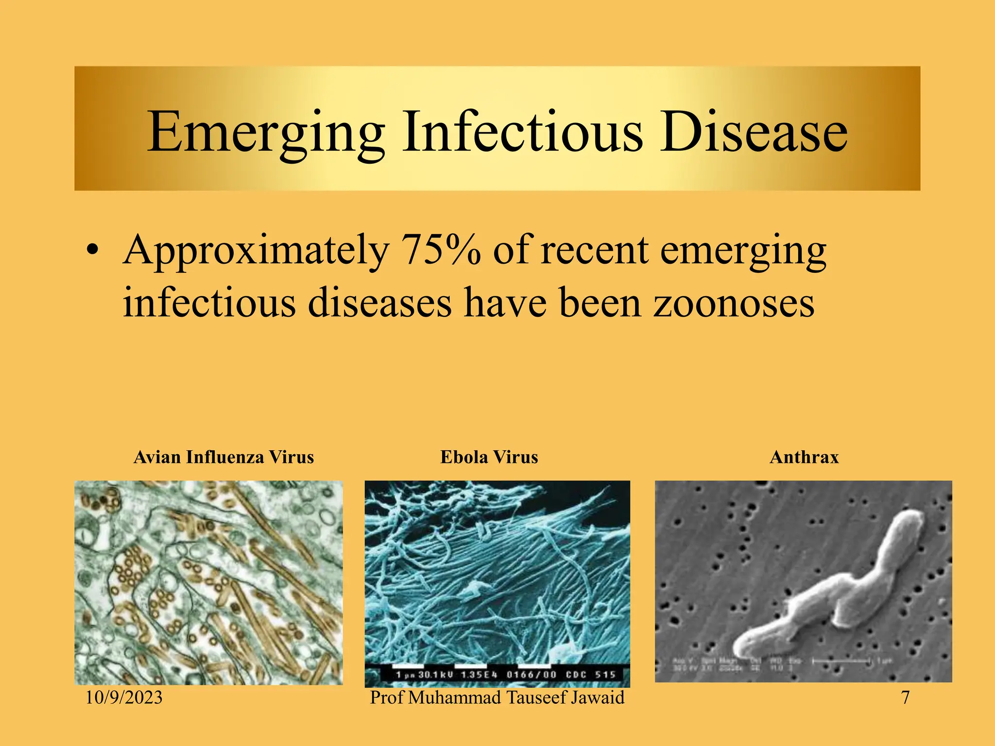 Zoonotic Diseases | PPT | Infectious Diseases | Diseases and Conditions