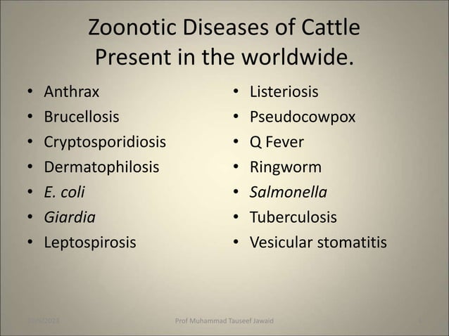 Zoonotic Diseases | PPT | Infectious Diseases | Diseases and Conditions