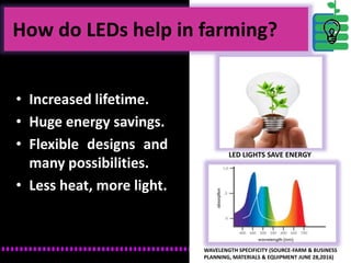 Led Farming | PPTX