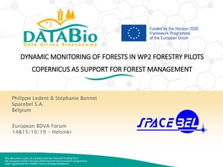 Forestry Pilot | PPT