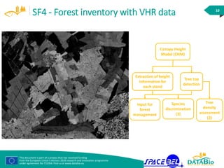 Forestry Pilot | PPT
