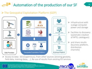 Forestry Pilot | PPT