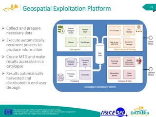 Forestry Pilot | PPT