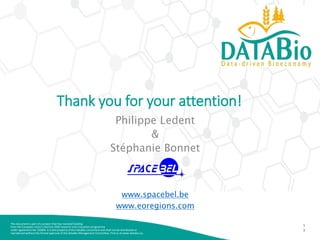 Forestry Pilot | PPT