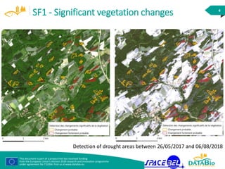 Forestry Pilot | PPT
