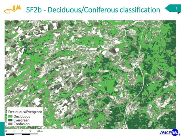 Forestry Pilot | PPT