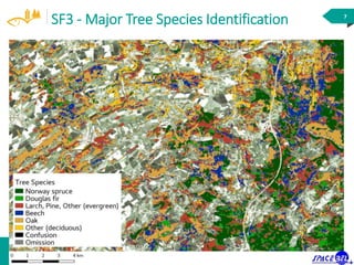 Forestry Pilot | PPT