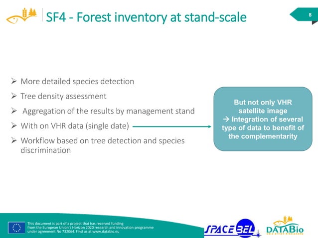 Forestry Pilot | PPT