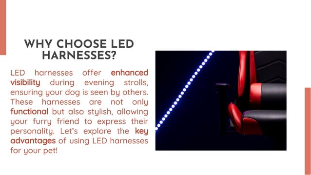 Led Harness Dog | PPT
