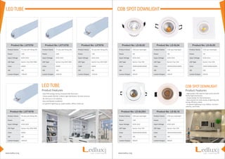 Ledlux Mini Broucher | PPT