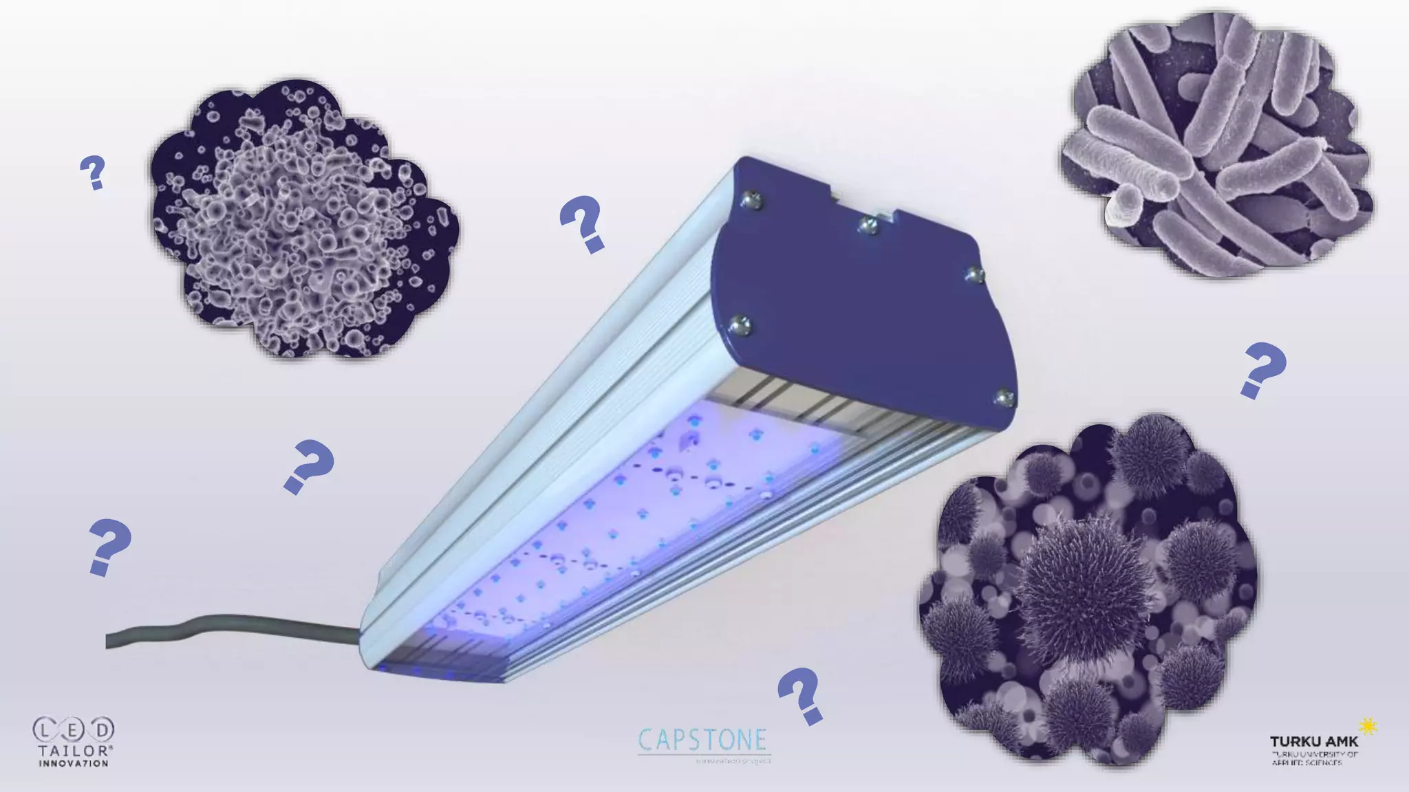 Led Tailor Capstone Pitch | PPT