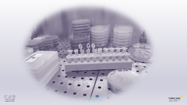 Led Tailor Capstone Pitch | PPTX