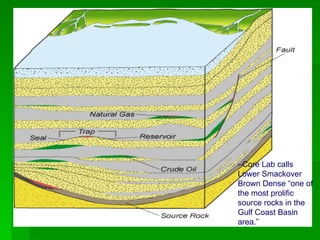 Leduc reef | PPT