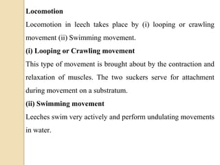 Leech.pptx