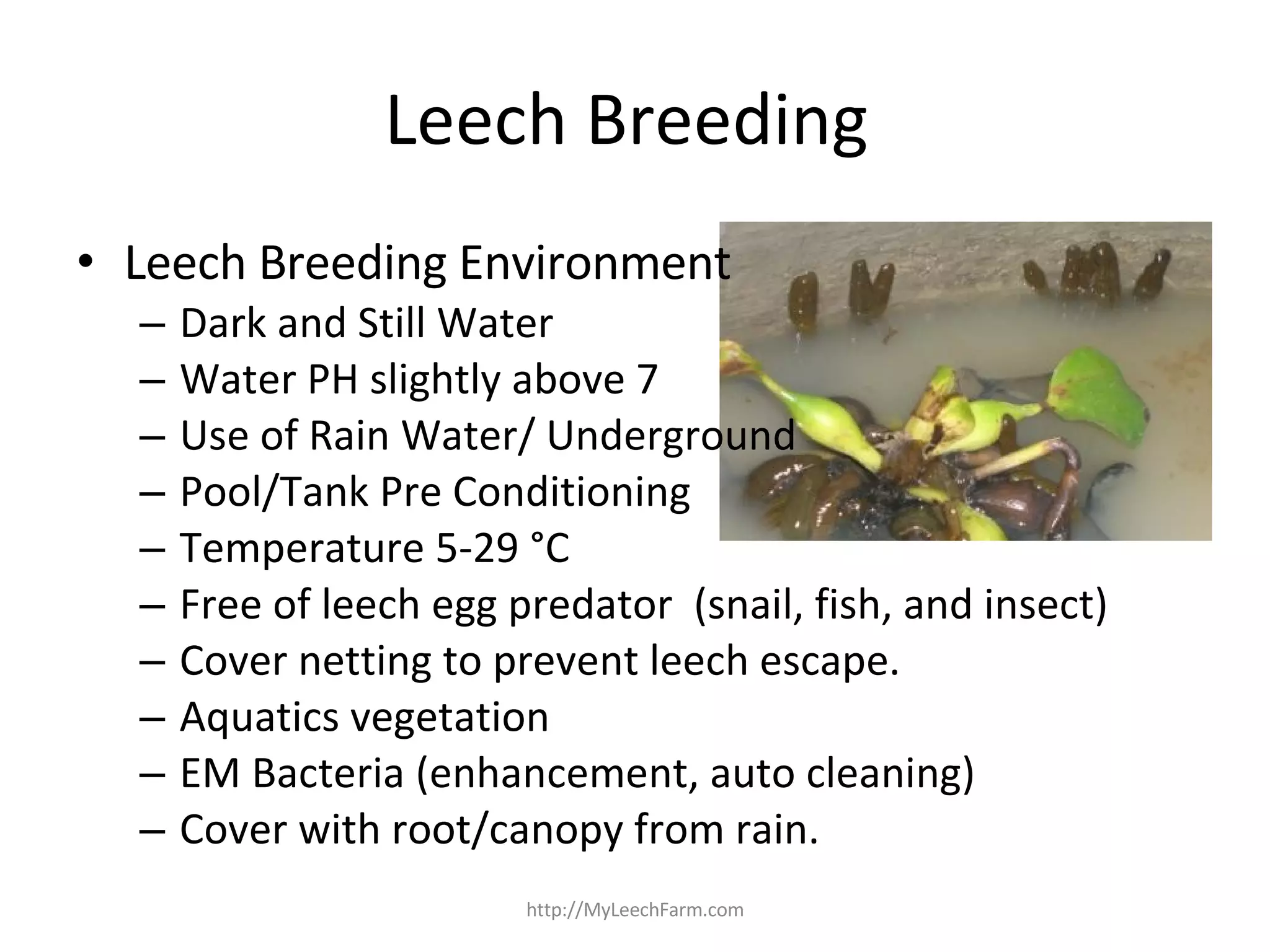 Leech Farming Guide | PPT
