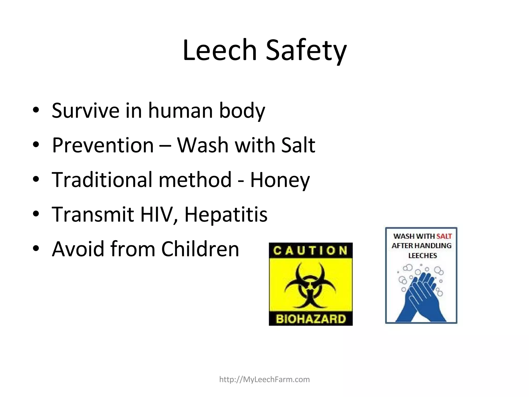 Leech Farming Guide | PPT