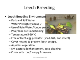 Leech Farming Guide | PPT
