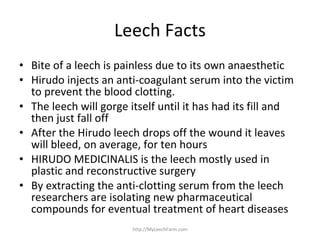 Leech Farming Guide | PPT | Zoos & Aquariums | Attractions