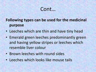 Leech therapy | PPTX