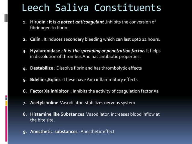 Irsal e Alaq (Leech Therapy) | PPT