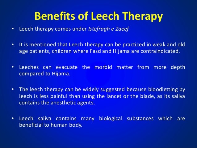 Uses And Benefits Of Leech Therapy Stethnews