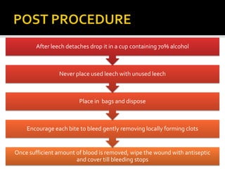 LEECH THERAPY | PPTX