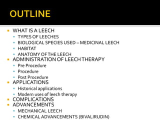 LEECH THERAPY | PPTX