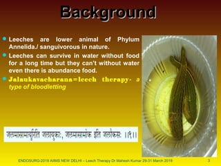 Leech therapy overview Dr Mahesh Kumar cbpacs New Delhi | PPT