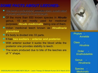Leech therapy overview Dr Mahesh Kumar cbpacs New Delhi | PPT