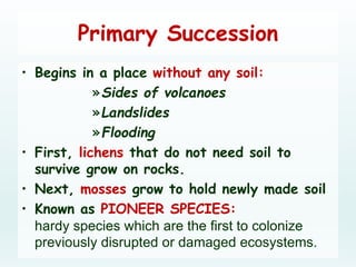 LE ECOLOGICAL SUCCESSION and its impact on environmental | PPT | Free ...