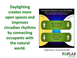 LEED v4 Green Building Focuses on Lighting | PPTX