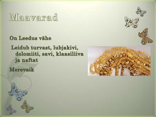 Leedu esitlus | PPTX