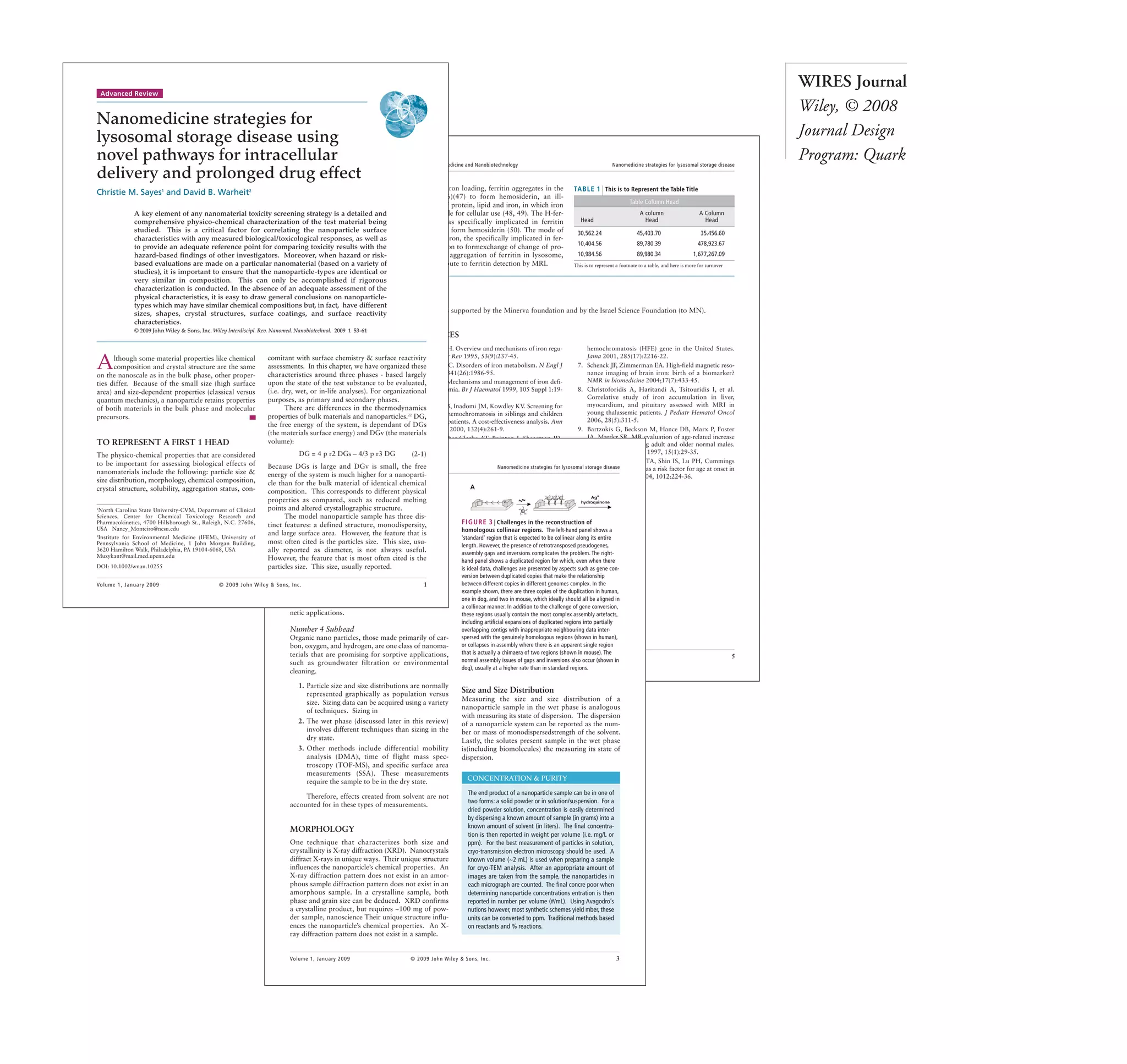 Lee Goldstein 09 | PDF