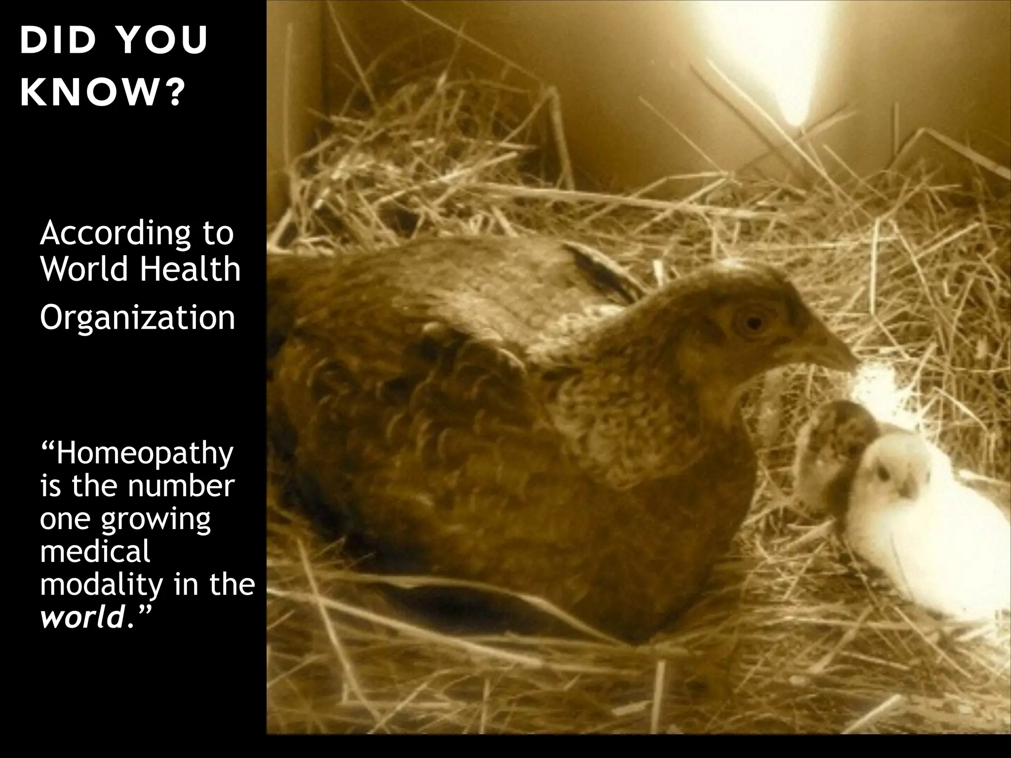 The Role of Homeopathy in Farm Animals | PDF