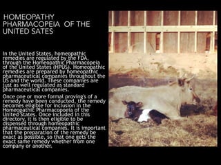 The Role of Homeopathy in Farm Animals | PDF