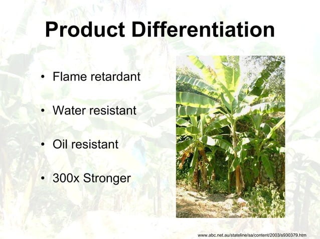 Lee & Man Paper Strategy Analysis