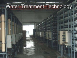 Lee & Man Paper Strategy Analysis