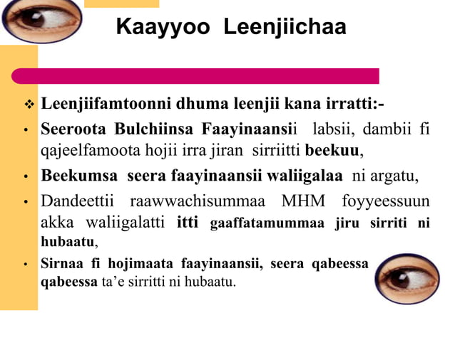Leenjii hammata Seeraa Bulchiinsa Faayinaansii Mootumaa (1).pptx