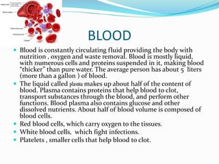 Body Systems - Grade 4 | PPTX