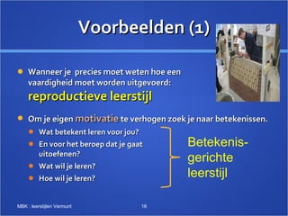 Leerstijlen vermunt | PPT