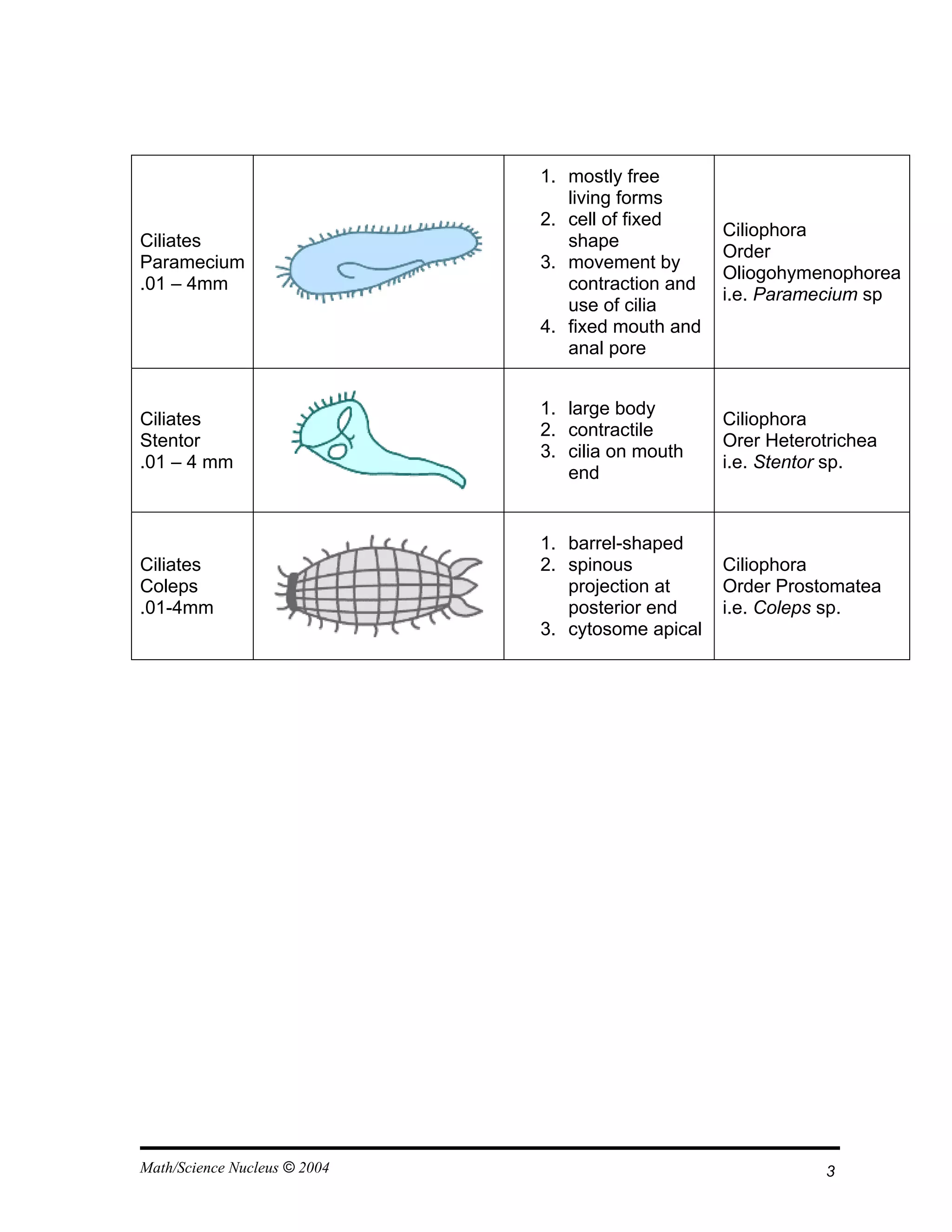 Leeuwenhoek's animalcules | PDF