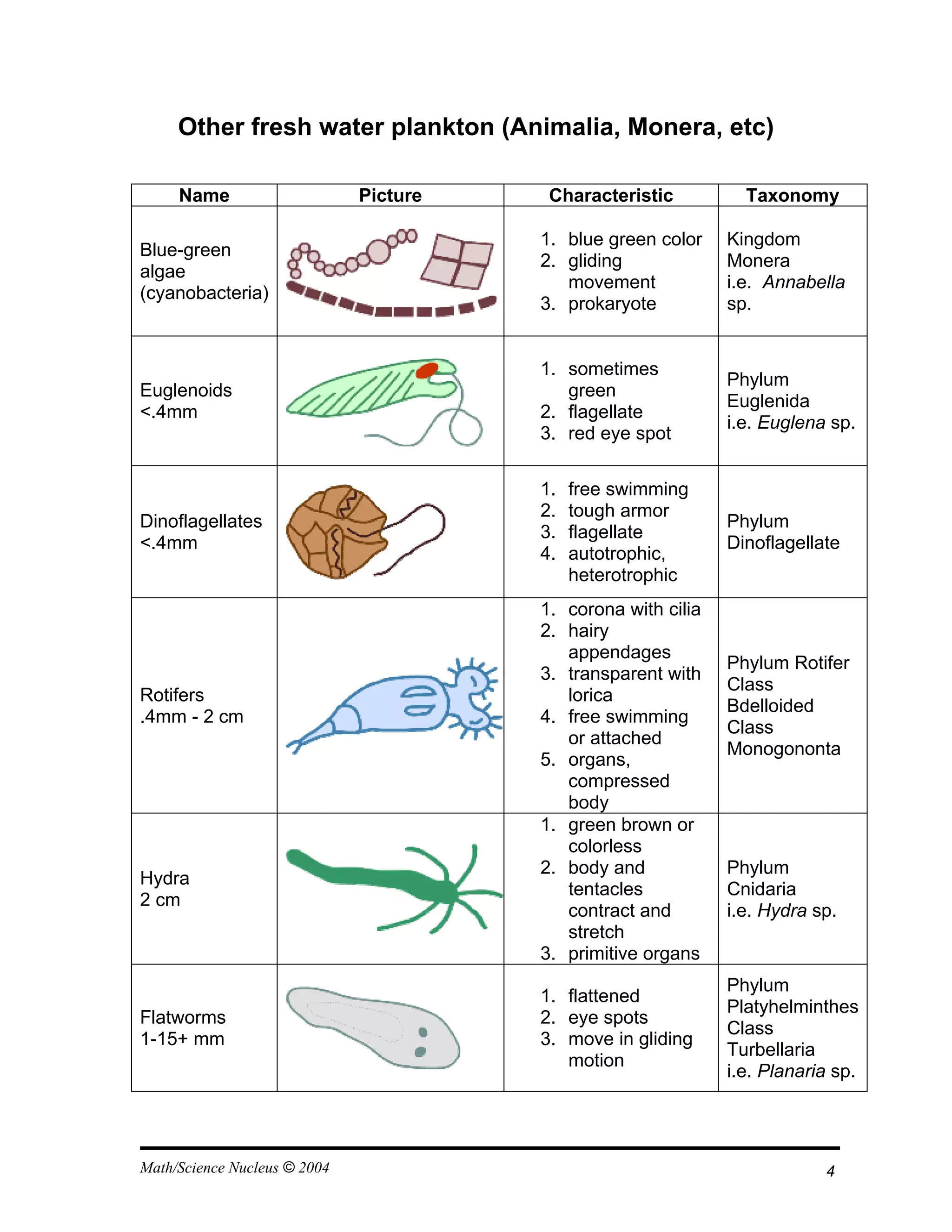 Leeuwenhoek's animalcules | PDF