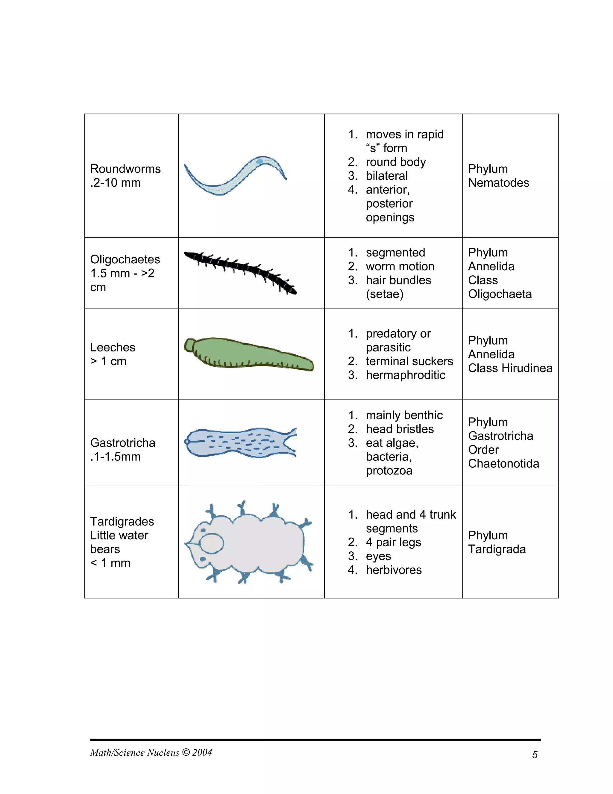 Leeuwenhoek's animalcules | PDF