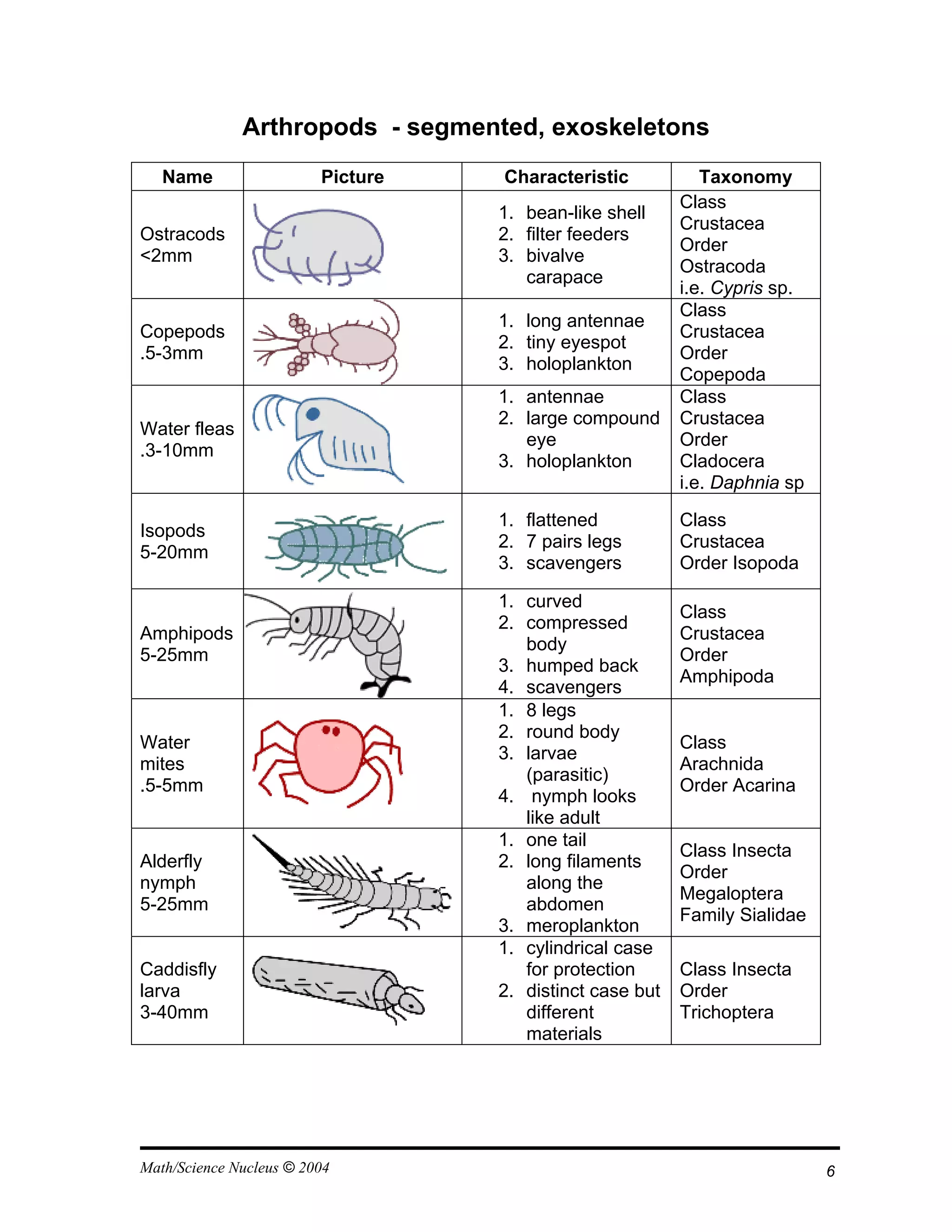 Leeuwenhoek's animalcules | PDF