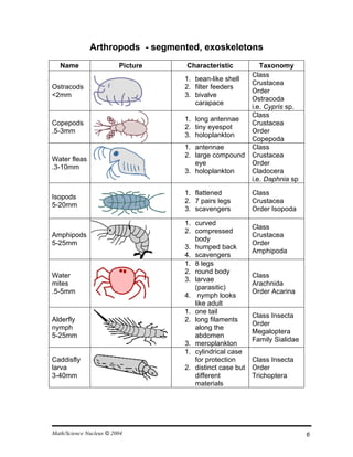 Leeuwenhoek's animalcules | PDF