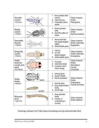 Leeuwenhoek's animalcules | PDF