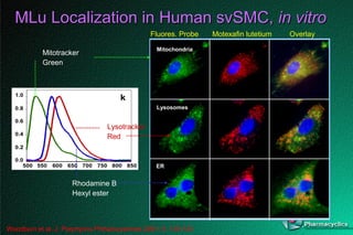 Antrin (motexafin lutetium) photoangioplasty | PPT