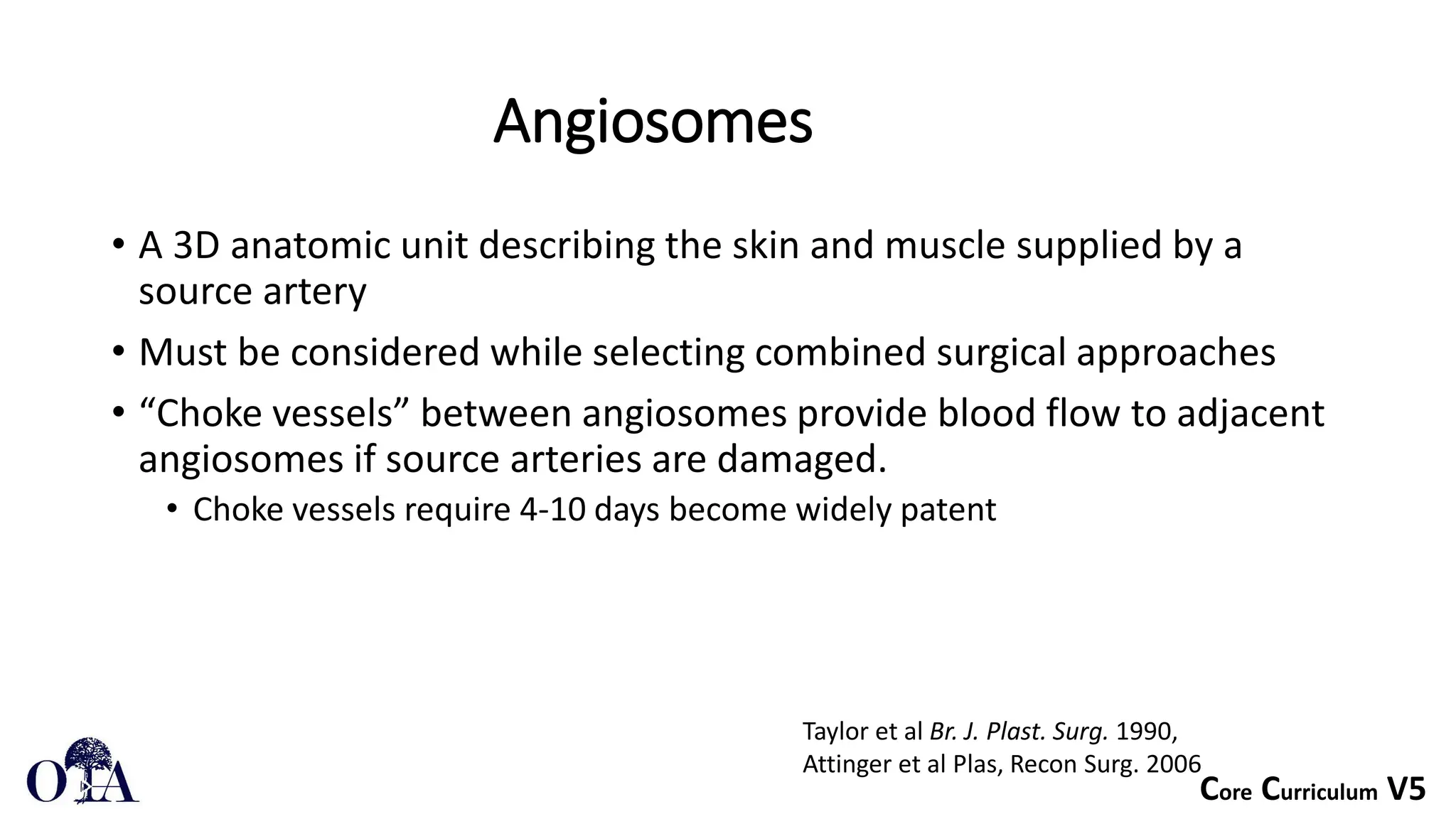Pilon Fractures definition and classification | PDF