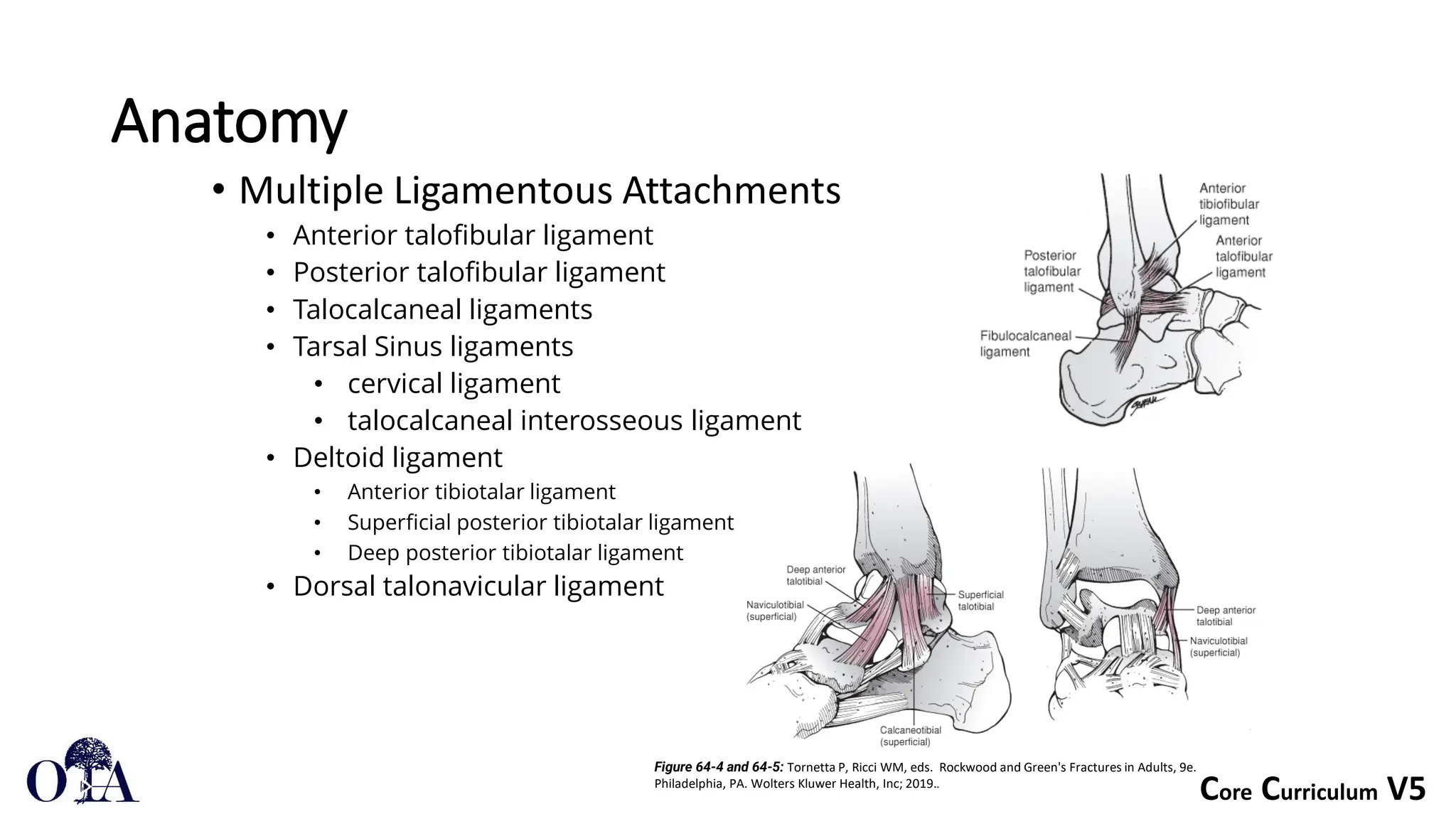 LE F&A4 Fractures and Dislocation of the Talus.pdf