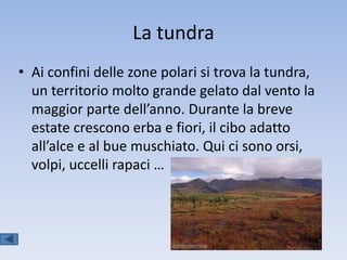 Le fasce climatiche | PPTX